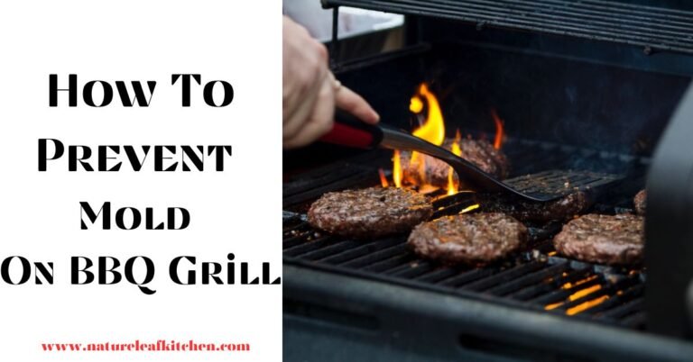 How To Prevent Mold On BBQ Grill-Causes And Remedies - NATURE LEAF KITCHEN